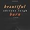 Beautiful Burn: Adriane Leigh: 9781507632468: Amazon.com: Books