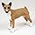 Amazon.com: Basenji Figurine: Home & Kitchen