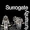 Amazon.com: Surrogate Humanity: Race, Robots, and the Politics of ...