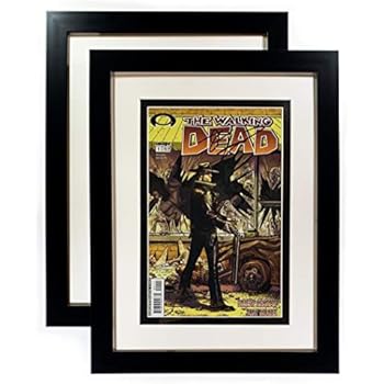 Amazon.com - Perfect Cases and Frames Quad Comic Book Frame