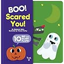 Boo! Scared You!: Stephanie Babin, Vincent Mathy: 9782408012816: Amazon ...