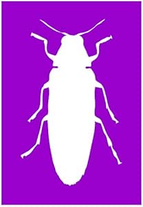 Amazon.com: Auto Vynamics - STENCIL-INSECTS-07 - Insect Design 7 ...