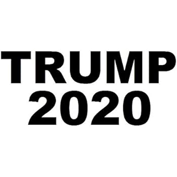 Amazon.com: Donald Trump 2020 - Vinyl Sticker for your Car, Window ...