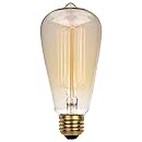 0413200 60 Watt ST20 Clear Timeless Vintage Inspired Bulb with Medium ...