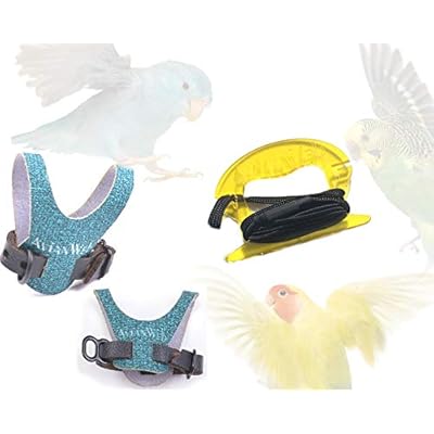 Buy Avianweb Small Bird Harness Set w4ft Leash for Lovebirds ...
