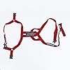 MATINGMARK Deluxe Breeding Harness for Sheep & Goats by Rurtec, Made in ...