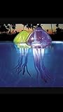Floating Jellyfish Pool Lights - The Green Head