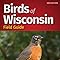 Birds of Wisconsin Field Guide (Bird Identification Guides): Tekiela ...