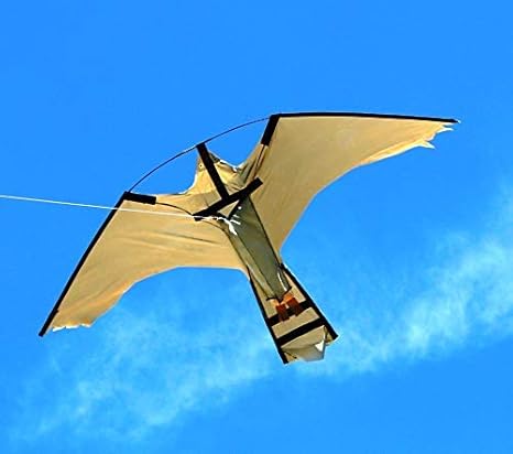 Bird Scarer. Pro Hawk Bird Deterrent Kite with 6.25m Aluminium Pole ...