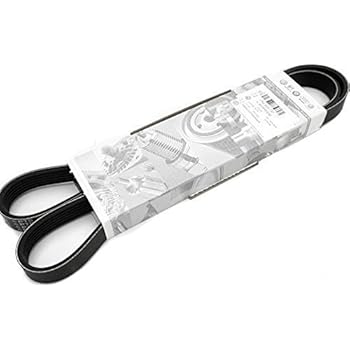 Amazon.com: Volkswagen 06F 260 849 L, Serpentine Belt: Automotive