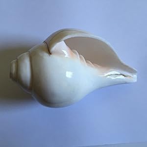 Amazon.com: Genuine Vamavarti Shankh / Conch Shell Horn (White, 6 ...