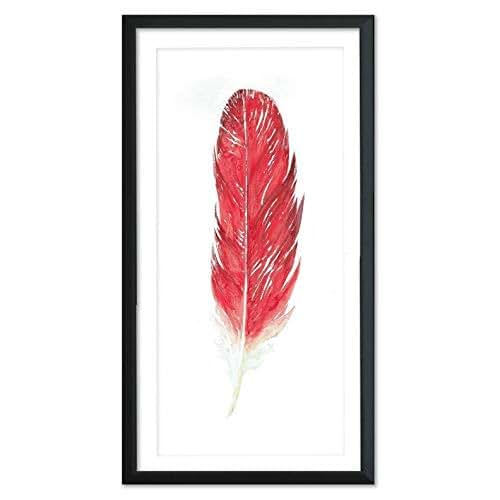 Amazon.com: Cardinal Feather Art. West Virginia State Bird. Fine Art ...