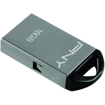 Amazon.com: PNY Metal 16GB USB 2.0 Flash Drive (P-FDI16G/APPMT-GE ...