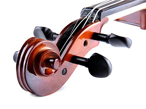 The Red Violin: A True Story? | New Violinist
