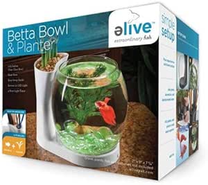 Amazon.com : Elive Betta Fish Bowl / Betta Fish Tank with Planter ...