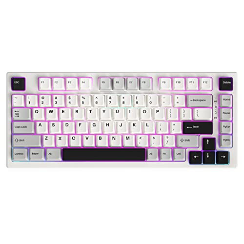 Gaming Keyboards Kuwait | Buy Online | Whizz Others