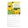 2024 Bible Verses Wall Calendar - Featuring Scripture from the King ...