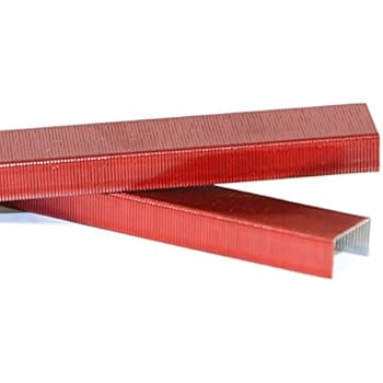 Amazon.com : Red Standard Size Staples : General Purpose Staples ...