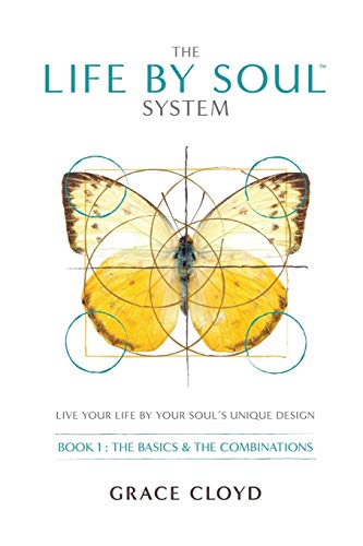 The Life By SoulTM System: Book 1 - The Basics & The Combinations ...