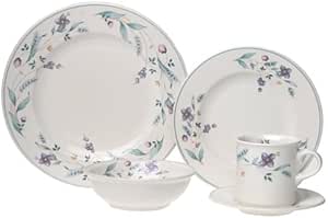 Amazon.com | Pfaltzgraff April 20-Piece Dinnerware Set, Service for 4 ...