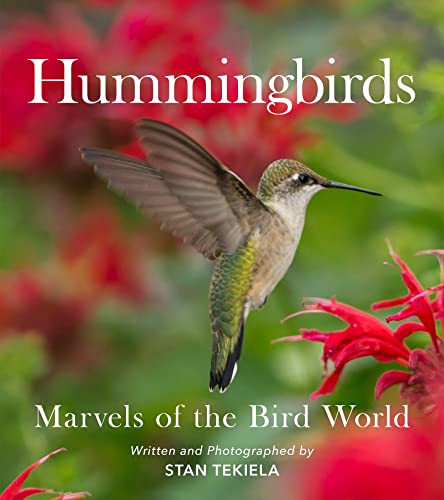 Amazon.com: Hummingbirds: Marvels of the Bird World (Favorite Wildlife ...