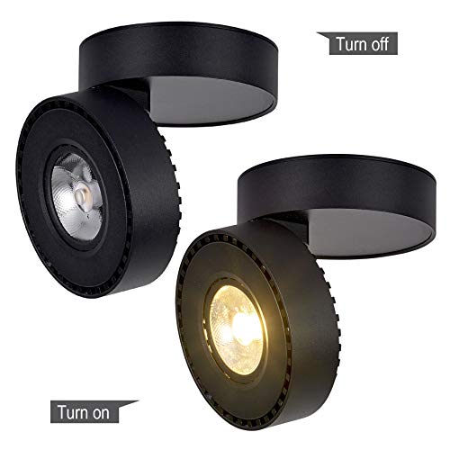 TOPMO Indoor 12W LED Spotlight Adjustable Ceiling Light/Surface Mounted ...