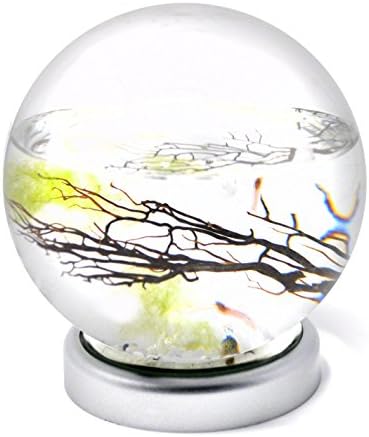 EcoSphere Closed Aquatic Ecosystem, Medium Sphere with LED Base ...
