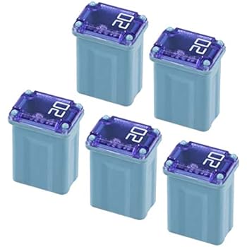 Amazon.com: Littelfuse (MCAS020.XP) MCASE Blue 32V 20 Amp Fuse: Automotive