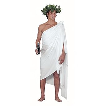 Amazon.com: Adult's Toga Costume Set: Clothing