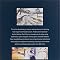 Watercolour: Techniques and Tutorials for the Complete Beginner : Paul ...