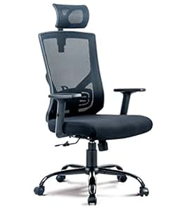 Amazon.com: Mesh Executive Chair High Back with Adjustable Headrest ...