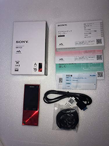Mua SONY Walkman A20 Series 16G Supports High Resolution Sound NW-A25 ...
