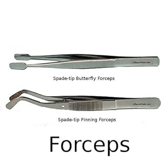 Insects4Sale Insect Pinning Forceps & Butterfly Forceps, Set of 2 ...