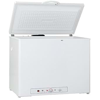 Amazon.com: Generic 110V LPG Propane Gas Absorption Gas Chest Freezer ...