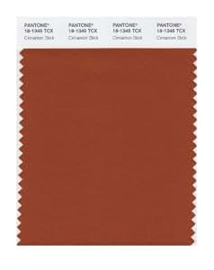 Pantone 18-1345 TCX Smart Color Swatch Card, Cinnamon Stick - House ...