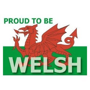 P1304 PROUD TO BE WELSH FUNNY FUN POSTER PRINT: Amazon.co.uk: Kitchen ...