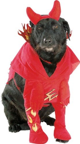 Halloween Devil Costumes for Dogs