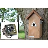 Mini-caméra couleur 2.4 GHz sans fil pour nichoir à oiseaux avec vision ...