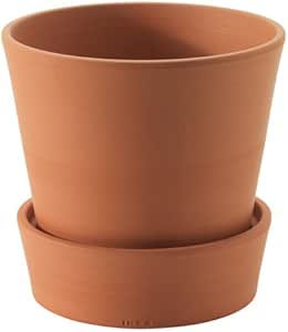 Red Clay Porous Terracotta Plant Pot with Saucer, 15cm, Silicon Treated ...