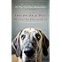 Being a Dog: Following the Dog Into a World of Smell: Alexandra ...