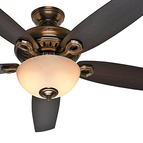 Hunter Fan 60 inch Bronze Patina Ceiling Fan with a Toffee Glass Light ...