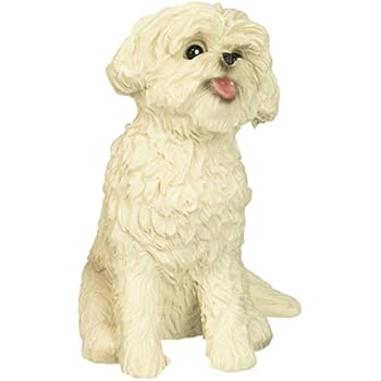 Amazon.com: Sandicast Small Size Bichon Frise Sculpture, Sitting: Home ...