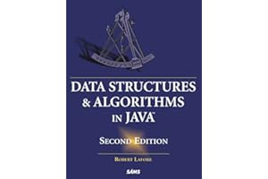 Amazon Best Sellers: Best Data Structure and Algorithms