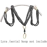 Amazon.com : runner deer Complete Lyra/aerial hoop/aerial rings Set ...