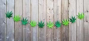 Amazon.com: Marijuana Pot Leaf Weed Banner Wall Decor Celebrate 4/20 in ...
