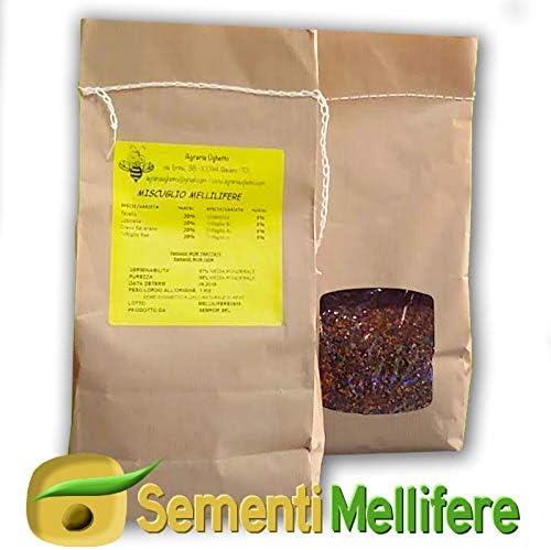 Fiori Agraria Ughetto Apicoltura Trifoglio RESUPINATO Seme Certificato kg 1 Mellifere da Semina ...