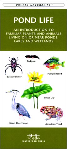 Pond Life: An Introduction to Familiar Plants and Animals Living on or ...