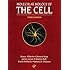 Molecular Biology of the Cell: Amazon.co.uk: Bruce Alberts: 9780815344643: Books