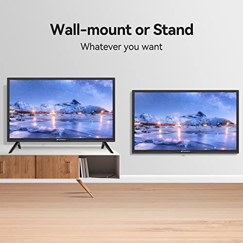 SANSUI ES24Z1, 24 inch HD (720P) LED TV with Built-in HDMI, USB, VGA ...