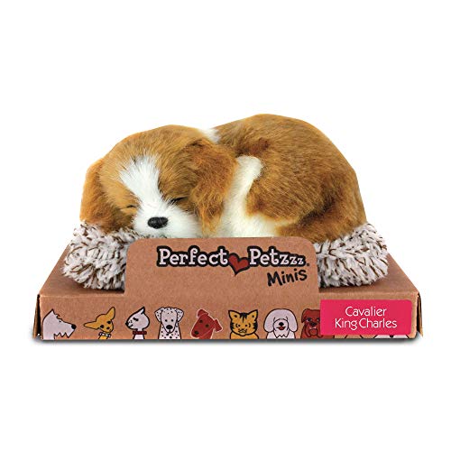 Perfect Petzzz Mini Cavalier King Charles, Realistic Battery-Operated ...
